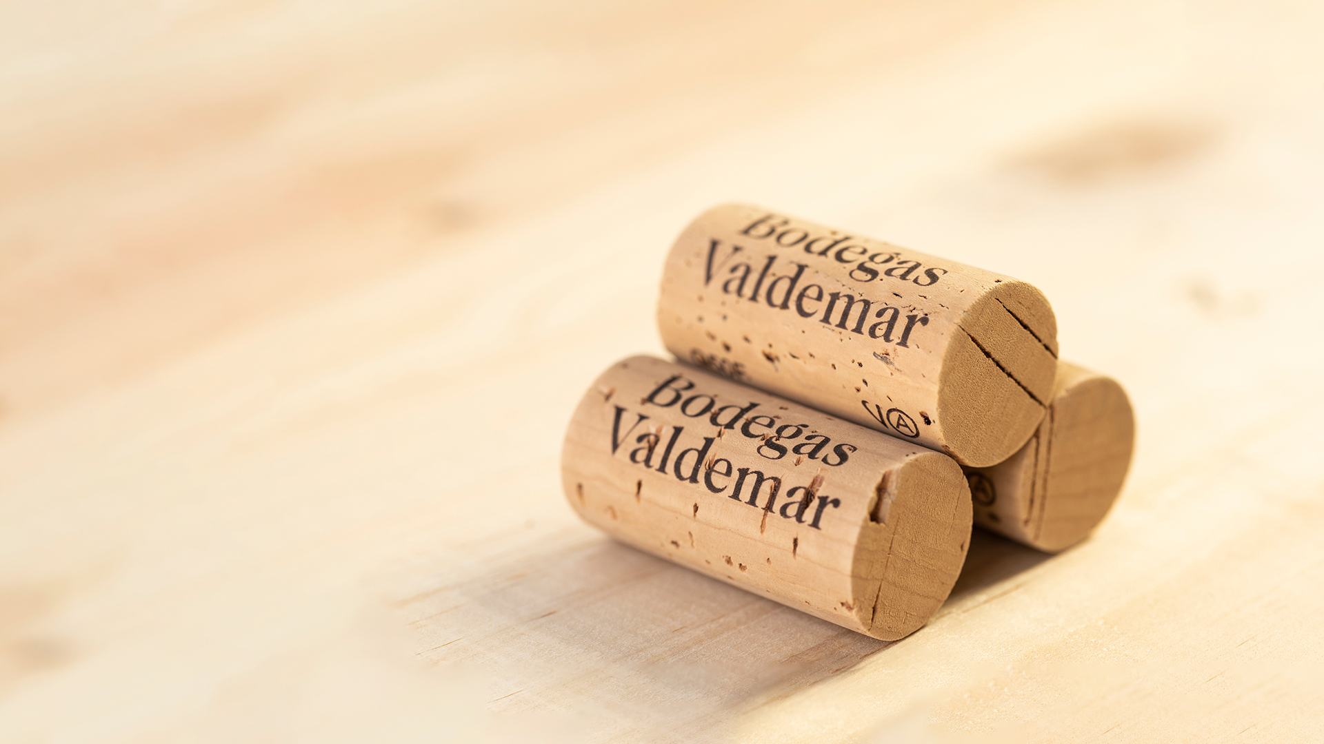 Bodegas Valdemar Wines - Valdemar Family